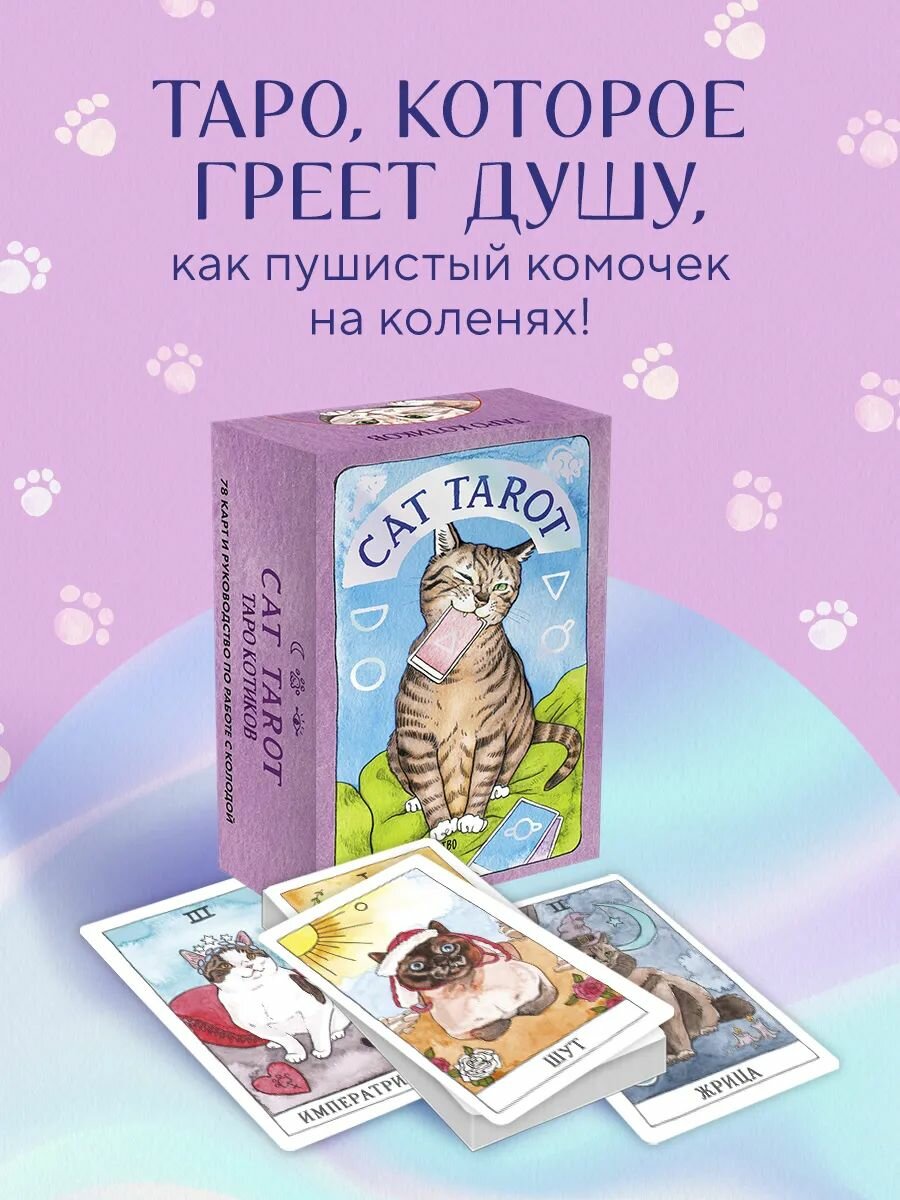 Cat Tarot. Таро Котиков (78 карт и руководство в подарочном
