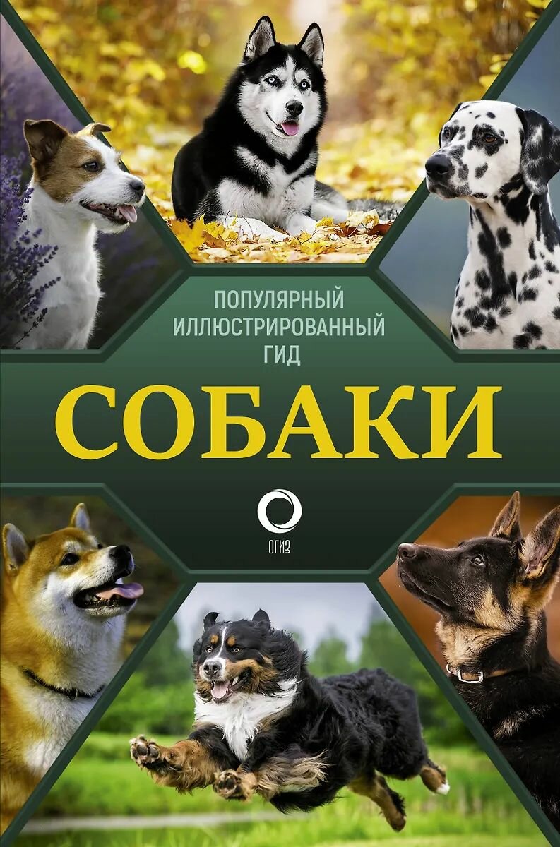 Научно-популярное издание АСТ Собаки Популярный иллюстрированный гид Барановская И. Г Вайткене Л. Д Хомич Е. О 2022 г