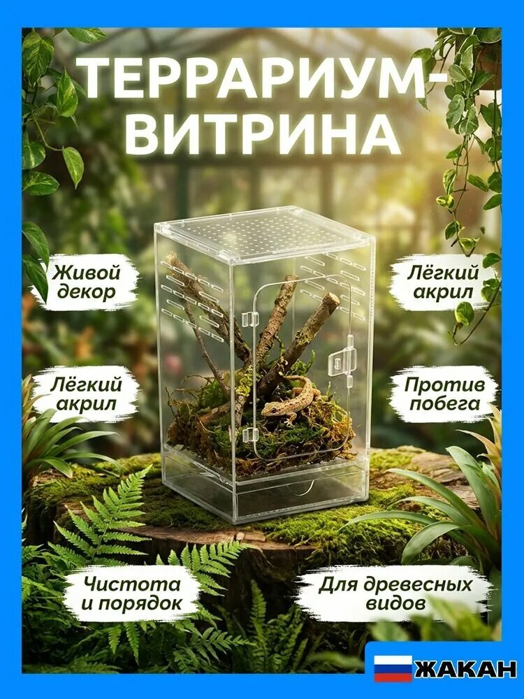 Акриловый террариум без сборки с защитой от побега 20x20x30 см для пауков, ящериц, насекомых