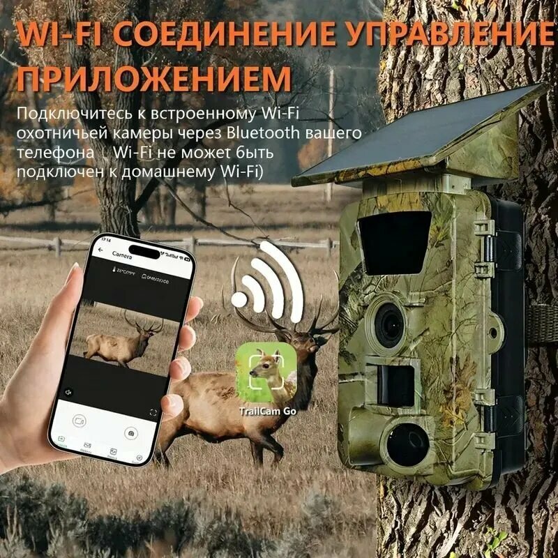 Фотоловушка — фото 1