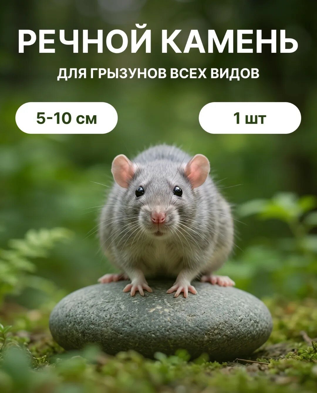 Туалетный камень для грызунов