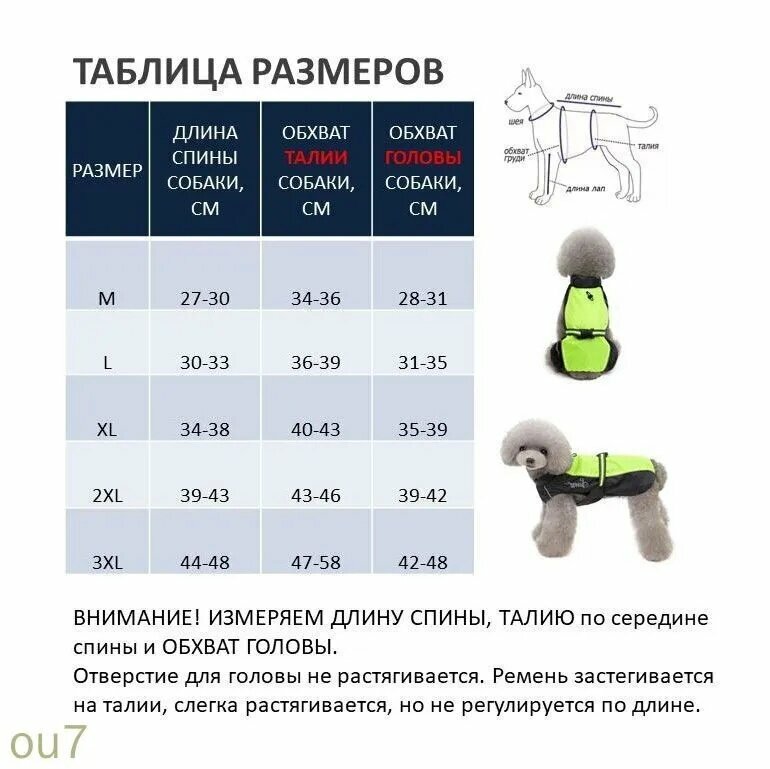 Одежда для животных — фото 1