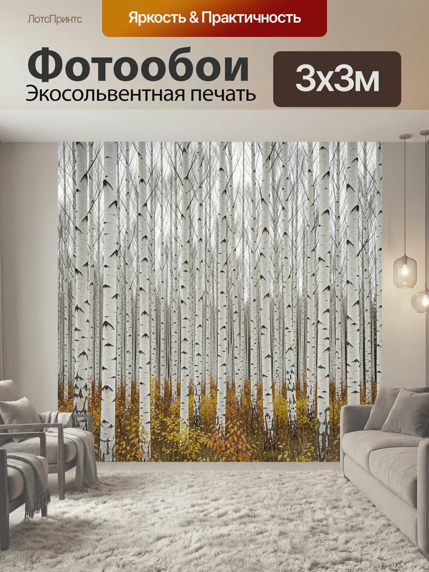 Фотообои "Осенний березовый лес. Плотный строй светлых стволов в лесной чаще, рыжевато-желтая листва у подножия, минималистичная природная." 300x300 см. экосольвентная печать