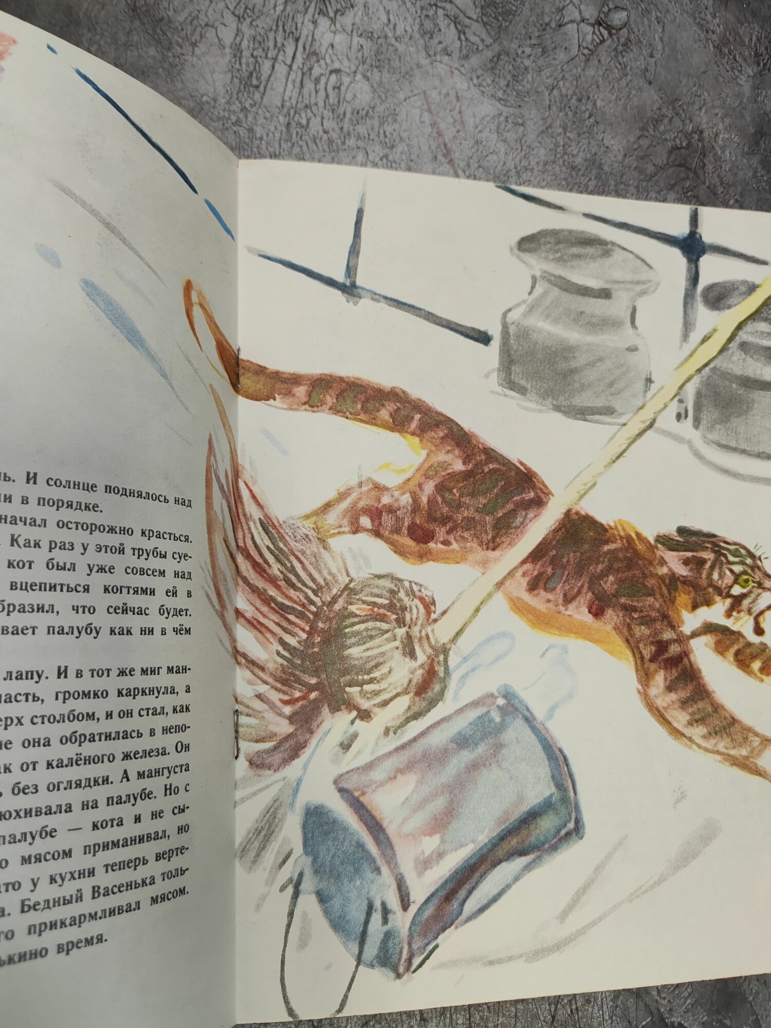 Мангуста (1978 г.) — фото 1