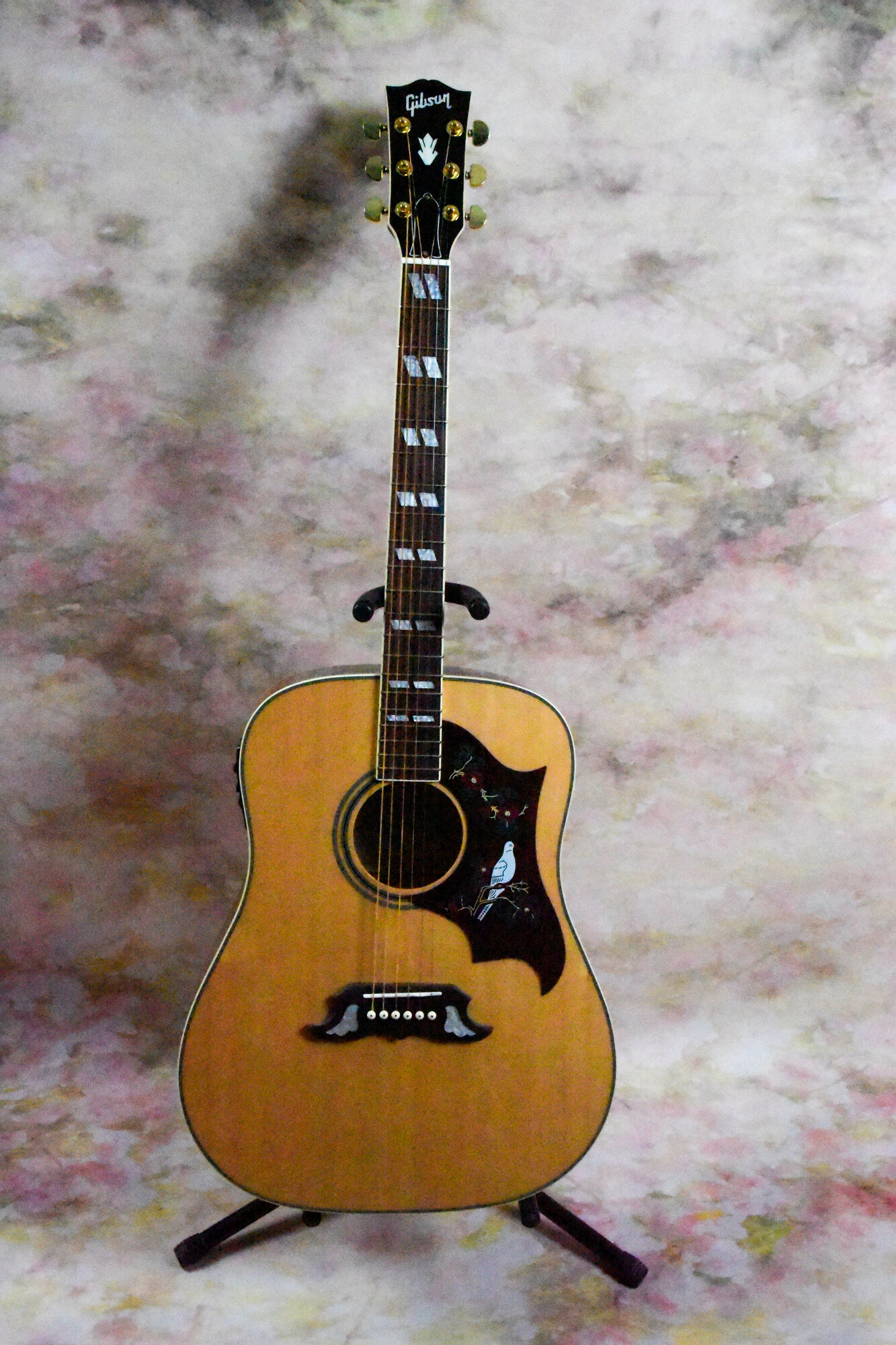 Акустика DOVE Dreadnought, ель, красное дерево, 301, датчик, голубь, золотые колки, эбен