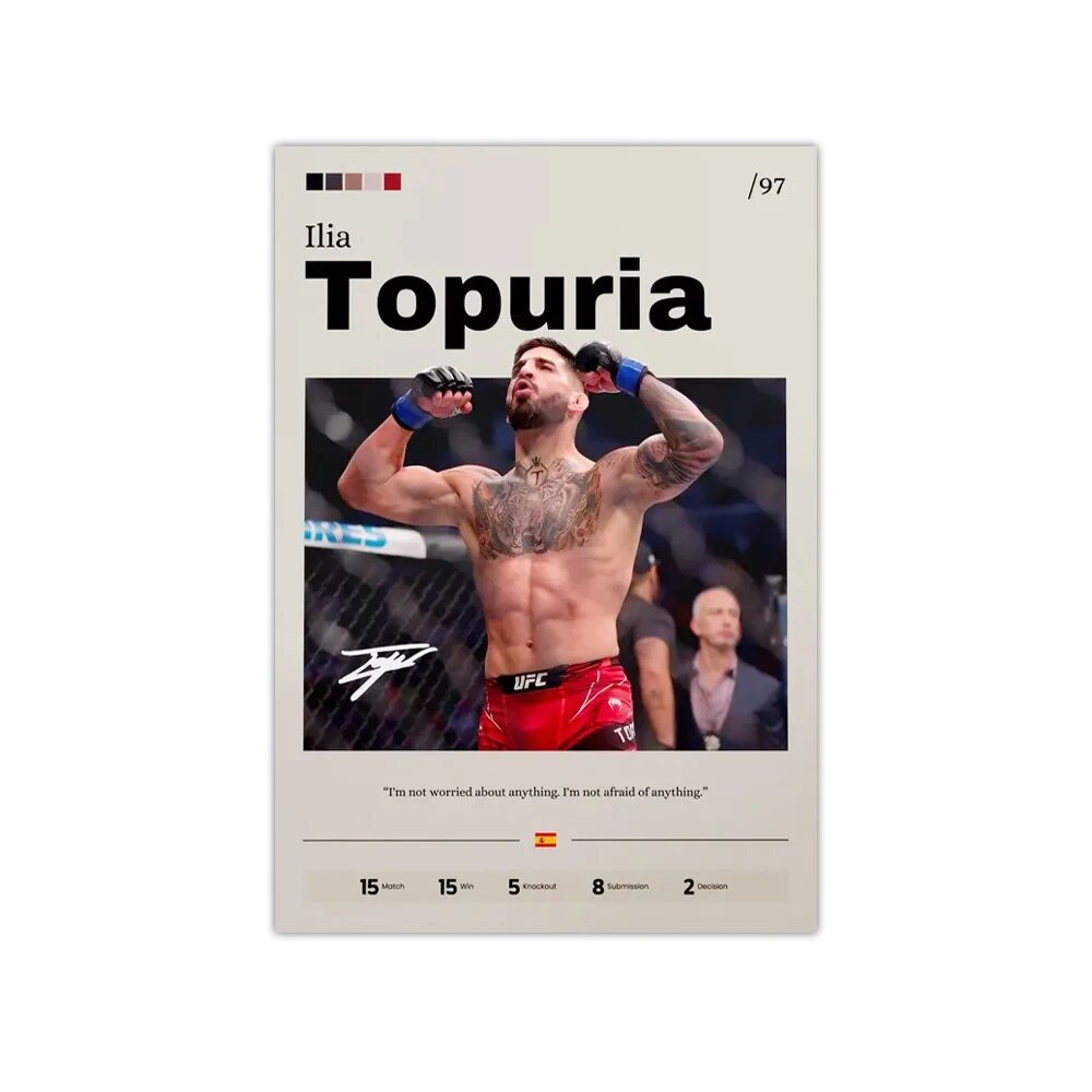Винтажный спортивный постер UFC Fighter на холсте
