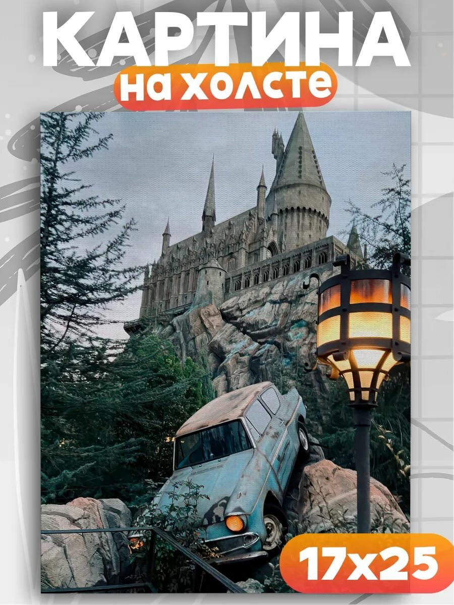 Картина на стену Гарри Поттер, на подрамнике, 1шт, 25х17 размер.