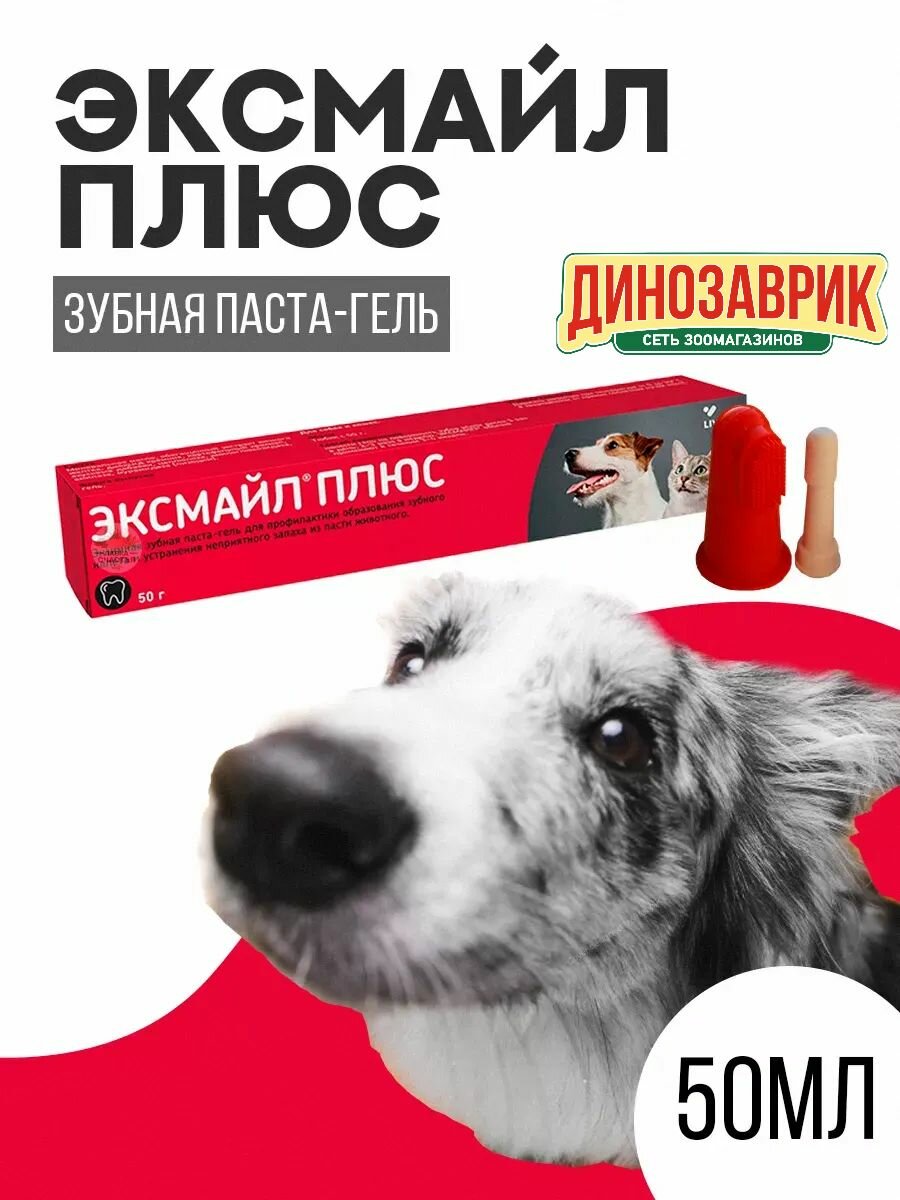Зубная паста Livisto Эксмайл Плюс, паста-гель для собак и кошек, 50 г