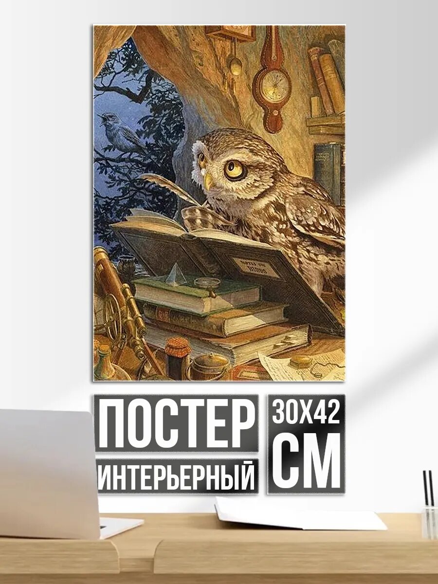 Плакат постер Мудрая сова читает