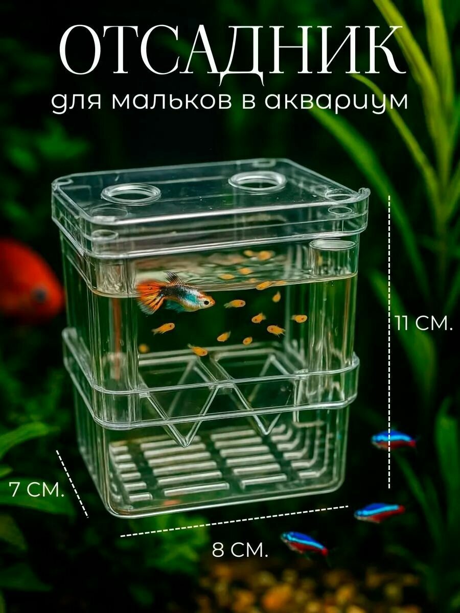 Отсадник для рыб аквариума, размножение бойцовых рыб, пластик PC 8х7х11 см