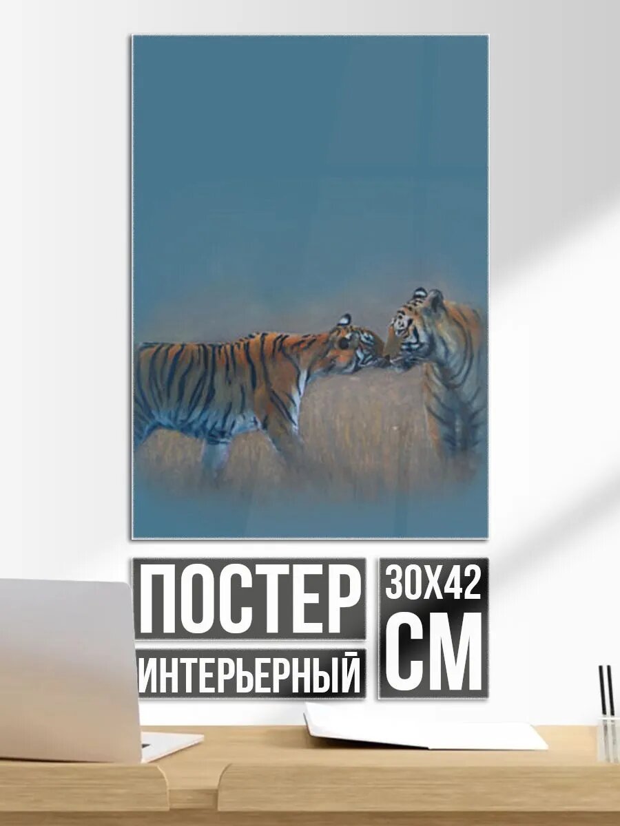Постер на стену Тигры любовь