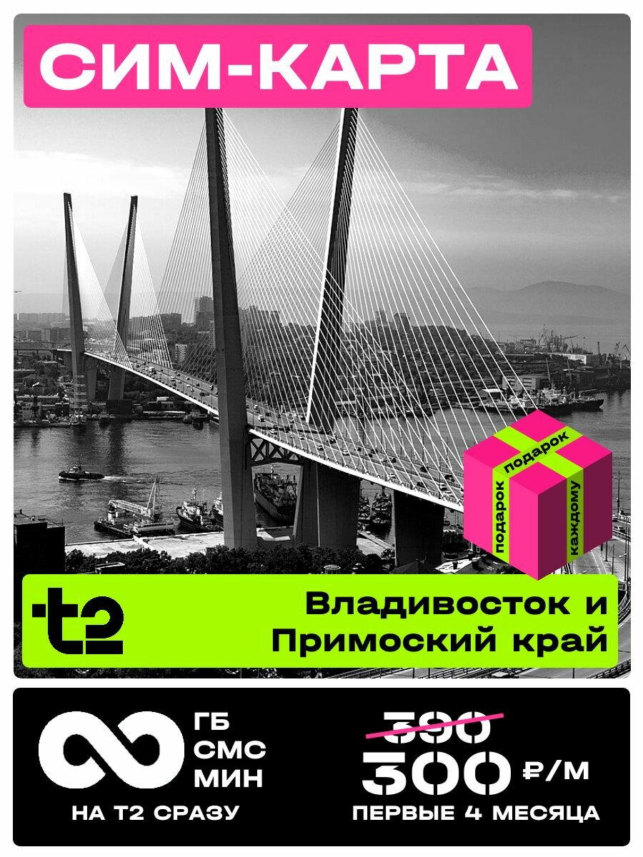 Сим карта теле 2 с безлимитным интернетом и минутами. t2 SIM-карта тариф хватит Приморский край. За 300 рублей в месяц.