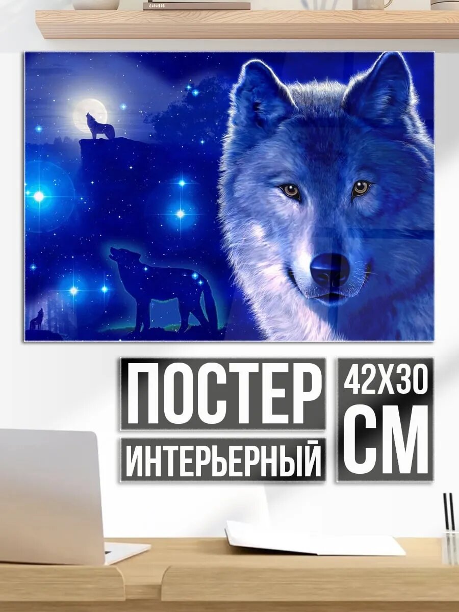 Плакат постер волк под луной