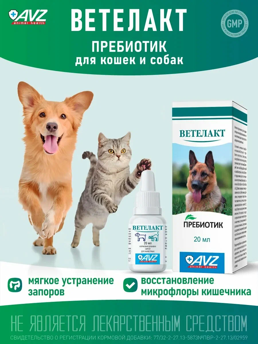 Ветелакт пребиотик для нормализации микрофлоры кишечника и оптимизации процессов пищеварения у мелких животных, 20 мл