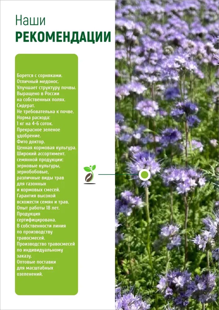 Royal Grass Семена ,1шт — фото 1