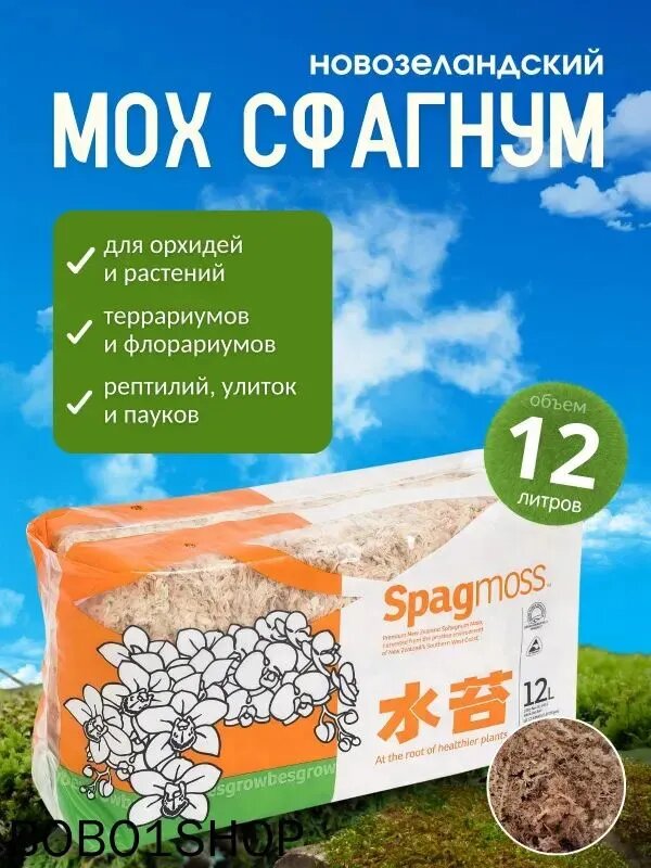 Мох