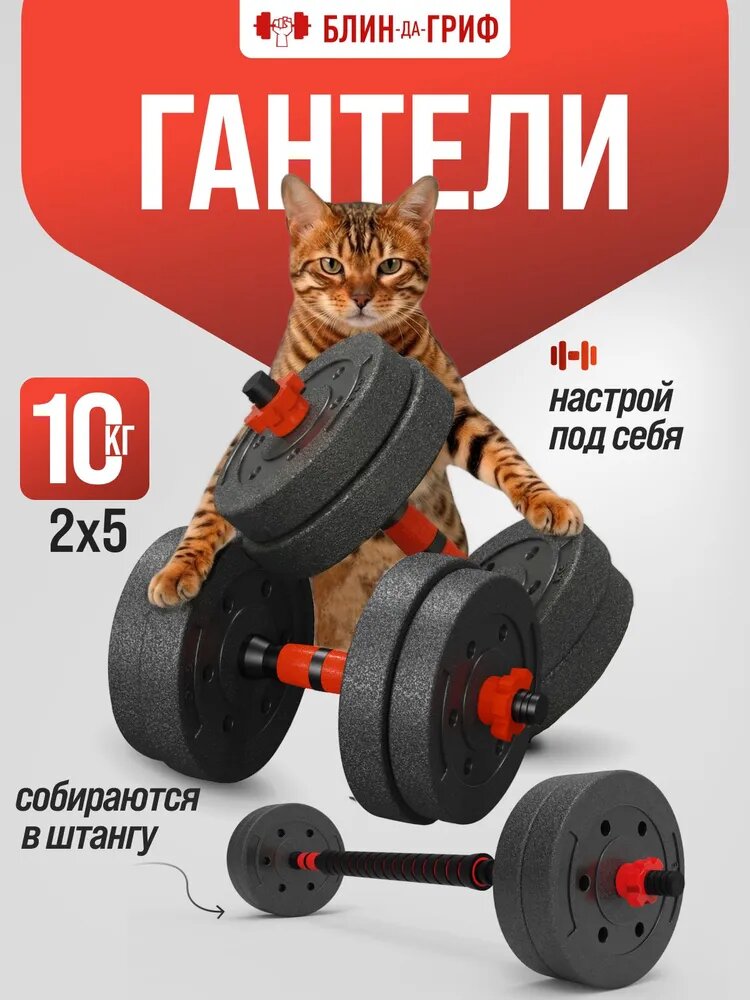 Гантели разборные 10 кг, 2 шт по 5 кг + Штанга