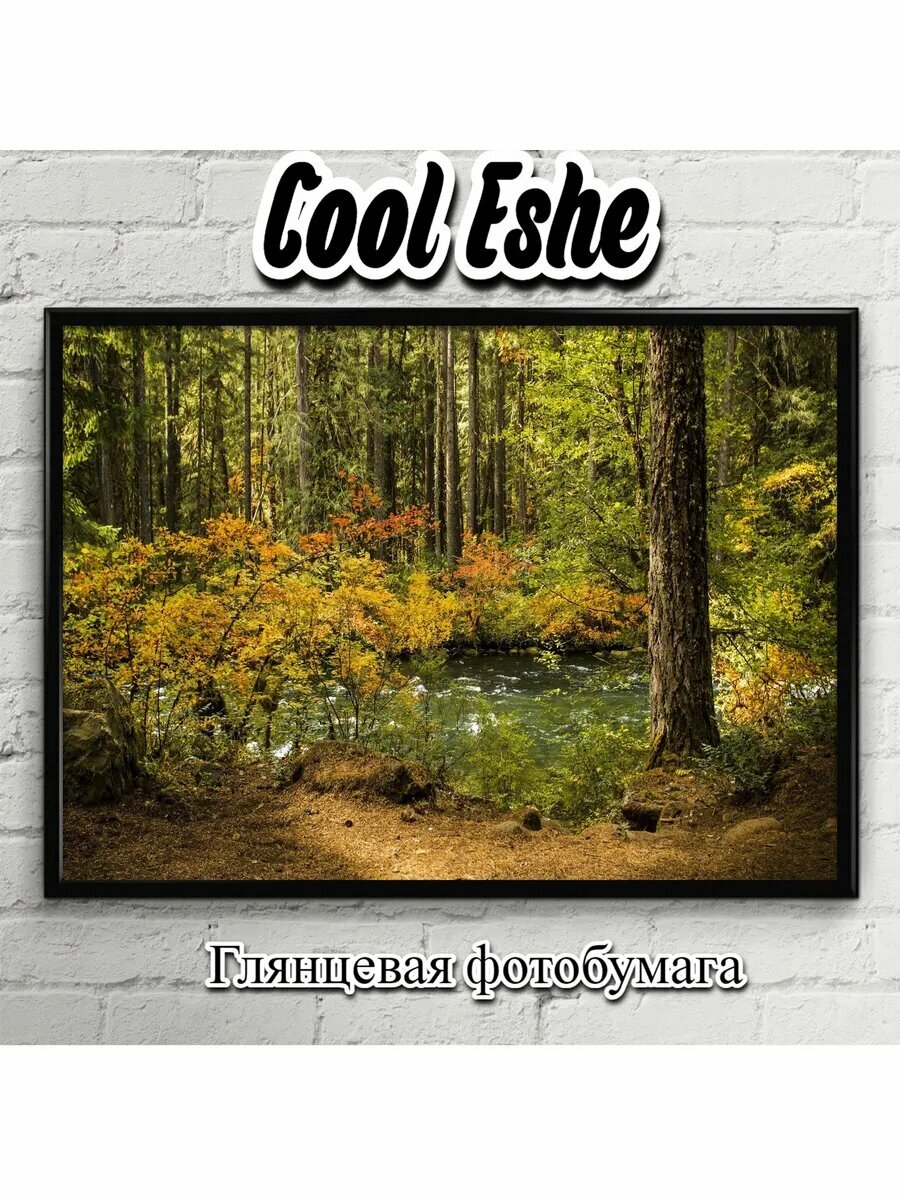 Плакат "Лес, осень, листва" А3