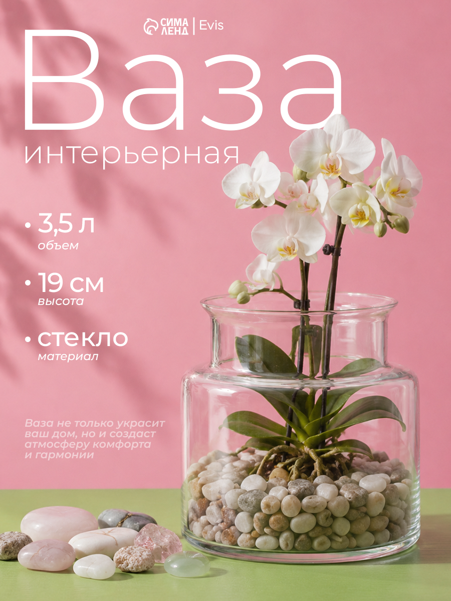 Ваза «Кассандра-1 Флорариум банка», d=15 см, 19×18.5 см, стекло, прозрачная