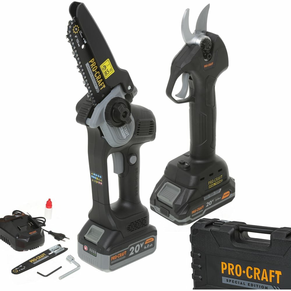Набор аккумуляторного инструмента PROCRAFT Professional (CP20+CCS20) Кейс PS210SET