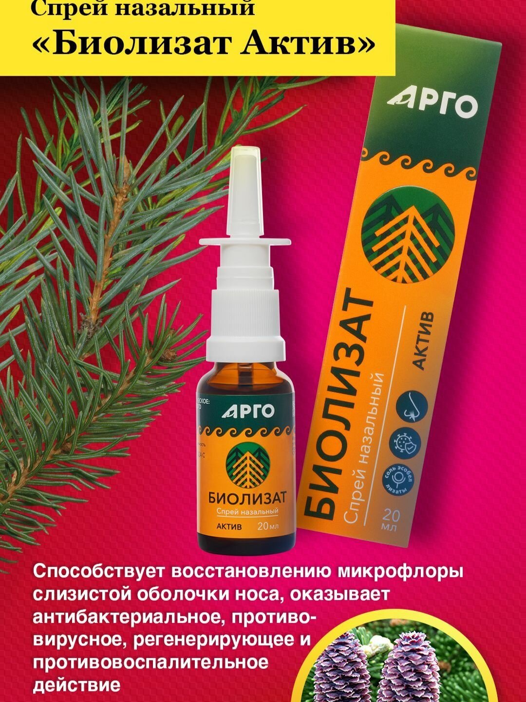 Спрей для носа Биолизат Актив, иммуномодулирующее средство на основе экстракта пихты сибирской против вирусов, бактерий и воспалений,20 мл (арго, Биолит, г. Томск)