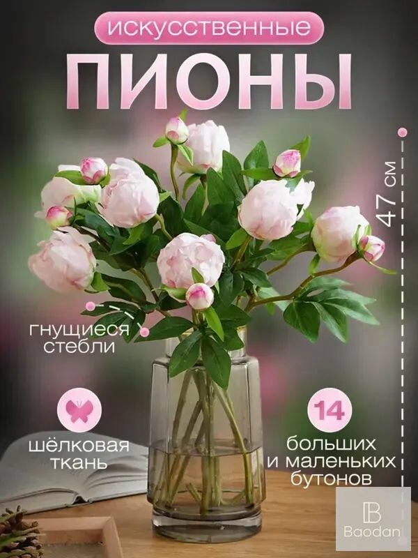 Стабилизированные цветы Пион, 6 см, 70 гр