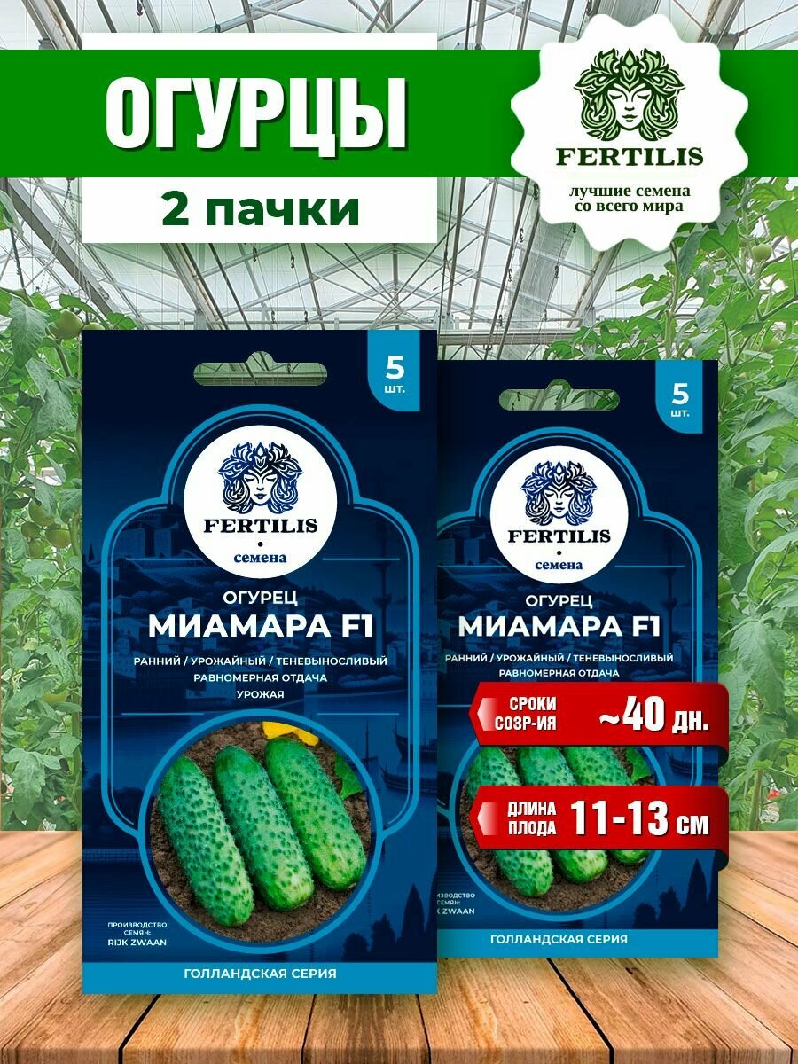 Семена урожайного огурца "Миамара F1" от компании Fertilis (2 пачки)