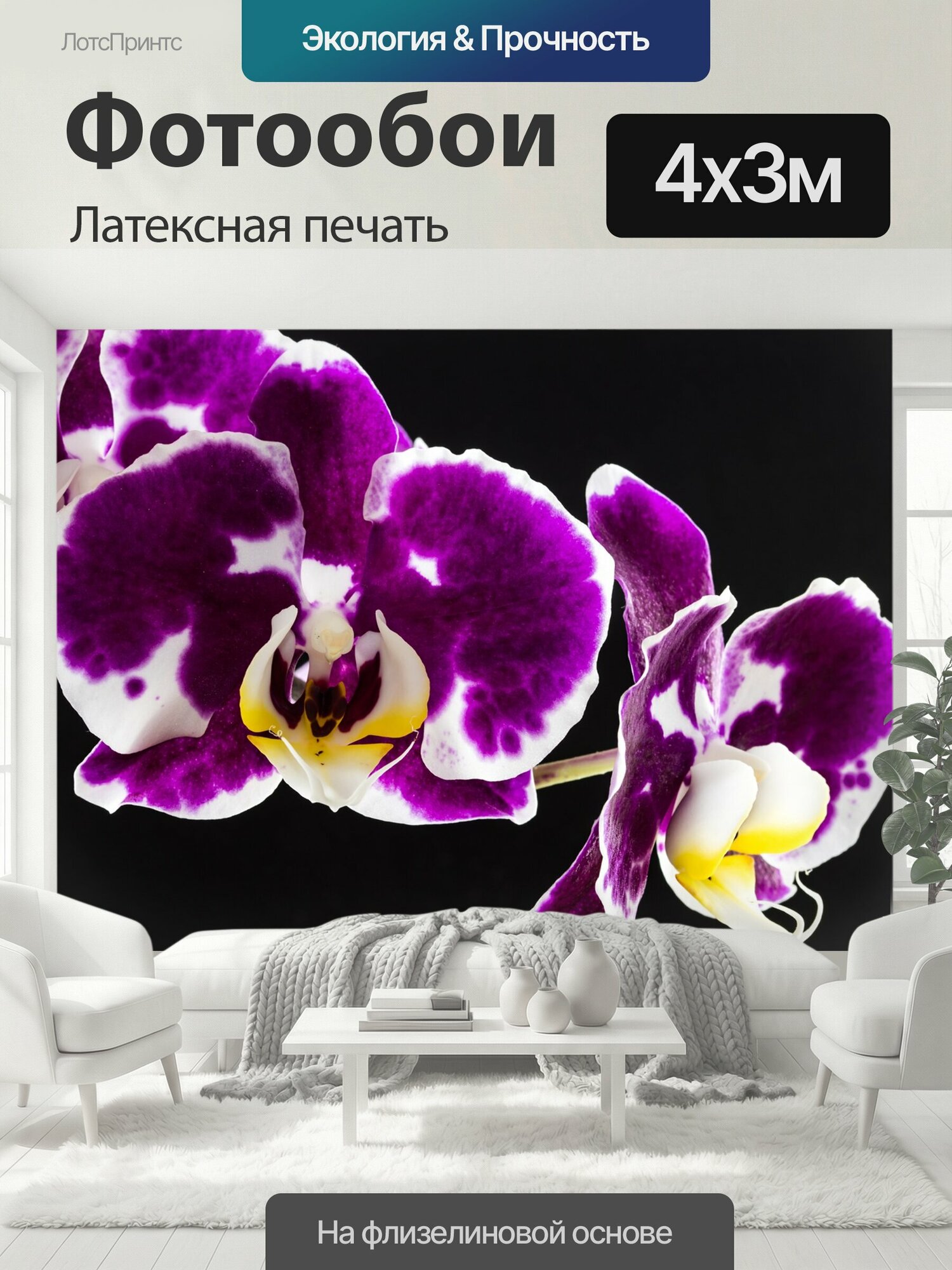 Фотообои моющиеся ударопрочные "Цвести, макрос, орхидея" 400x300 см. латексная печать