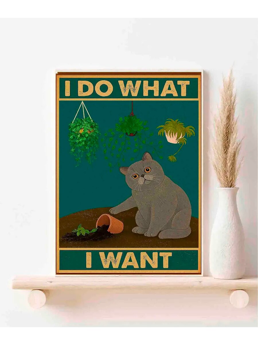 Британская короткошерстная кошка, I Do What I Want