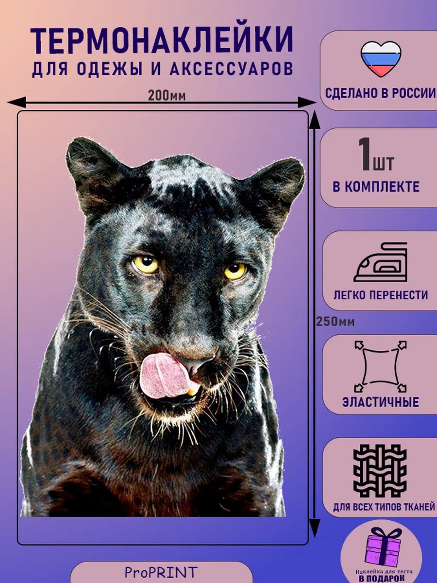 Термонаклейка на одежду