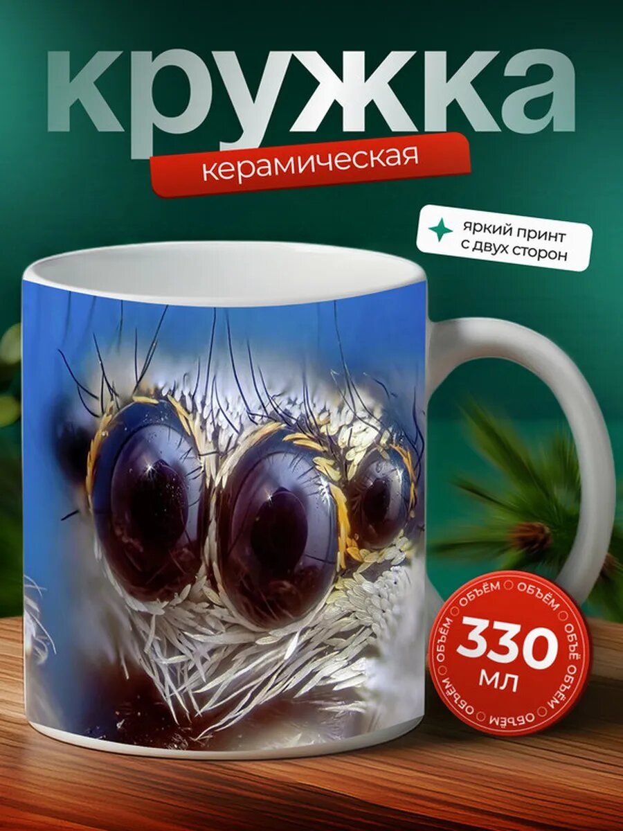 Кружка Локсосцелес паук паукообразное 11,