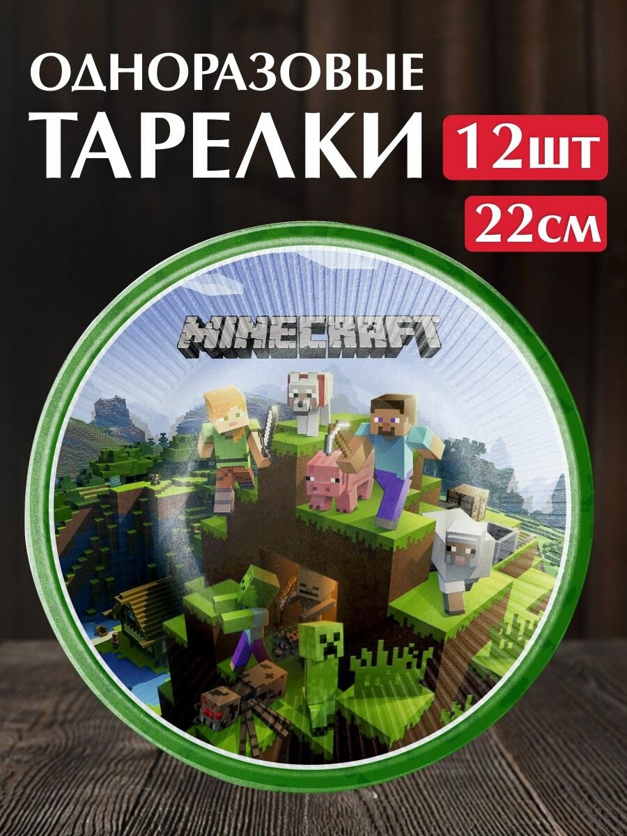 Одноразовые тарелки для детского праздника на день рождения "Майнкрафт". Набор 12 штук. Сервировка праздничного стола.