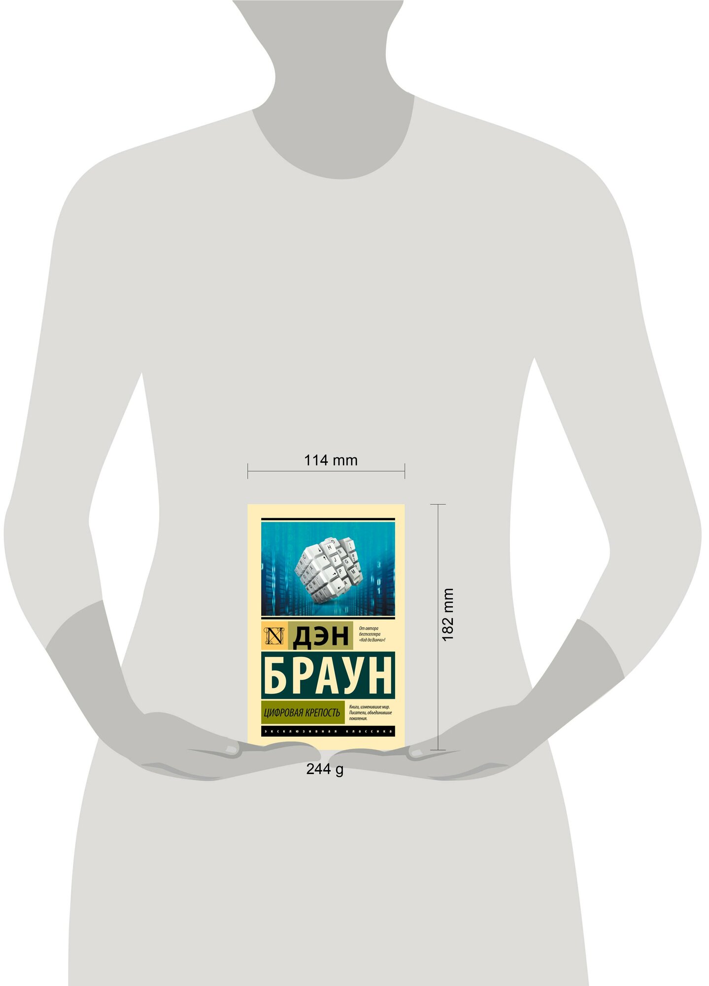 Цифровая крепость — фото 1