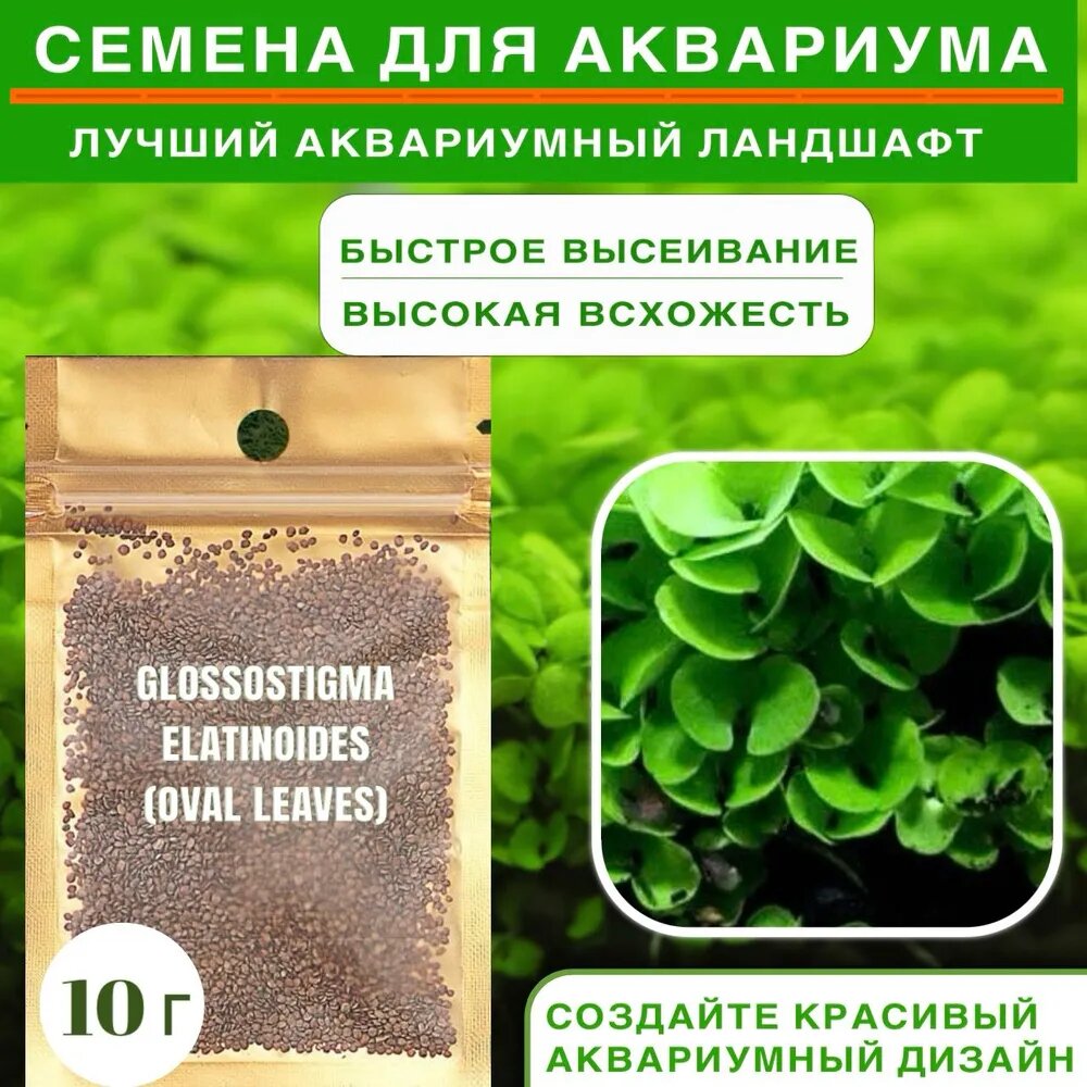 Семена растений для аквариума "Glossostigma elatinoides" long leaves