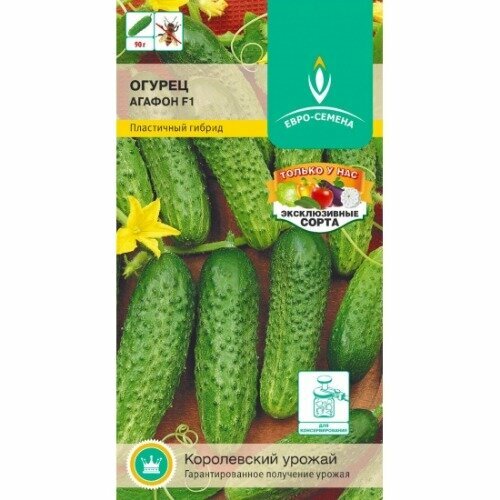 Семена огурца Евро-Семена Агафон, раннеспелый, партенокарпический, 0.25 г