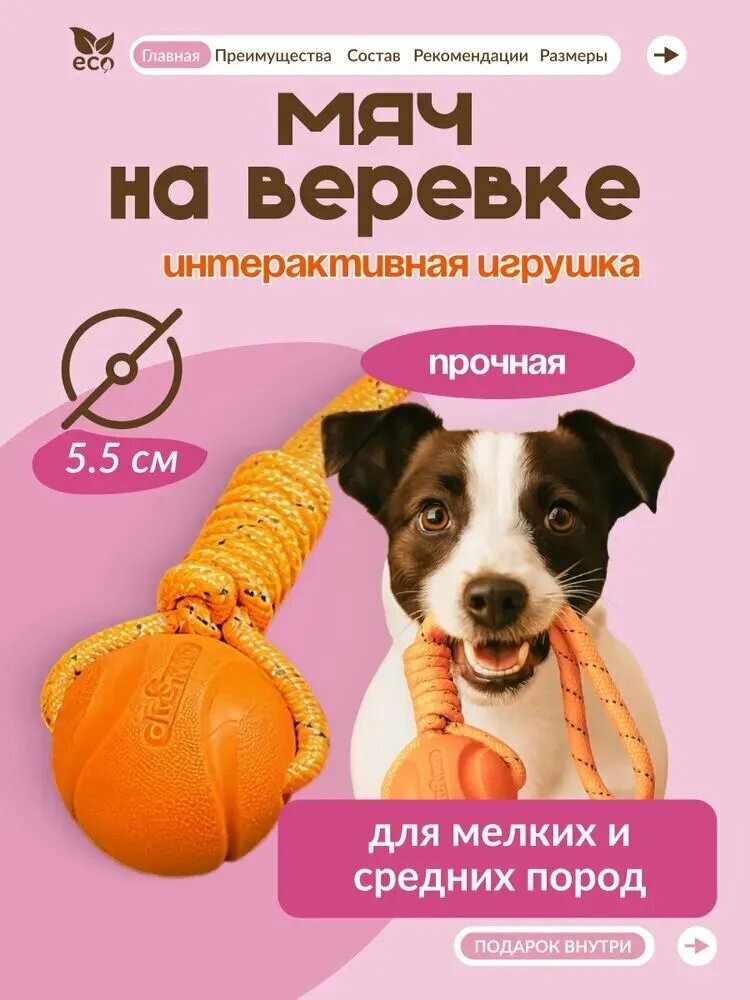 Игрушка для собак мяч с канатом для средних и мелких пород