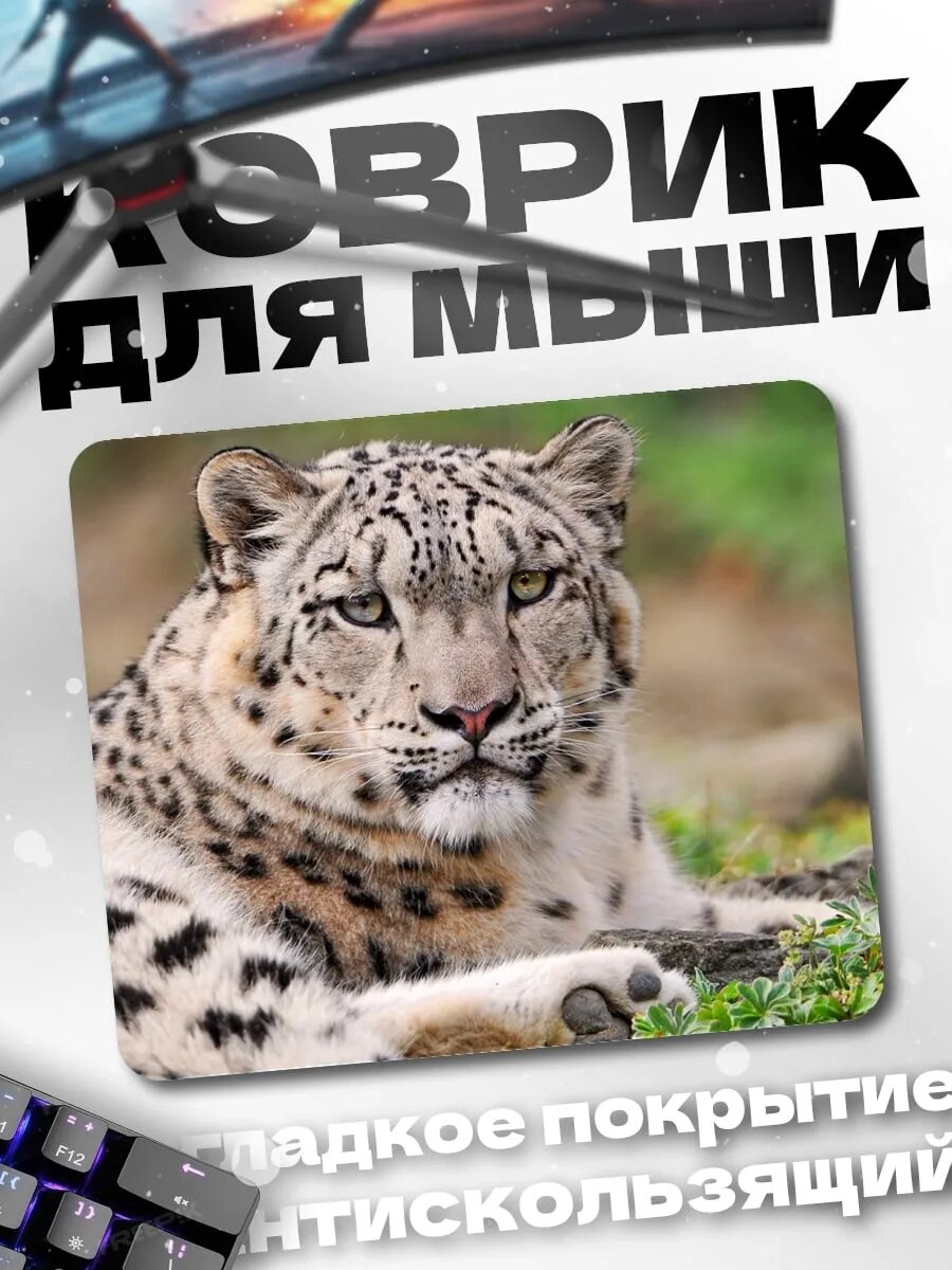 Коврик для мыши Снежный барс лежит