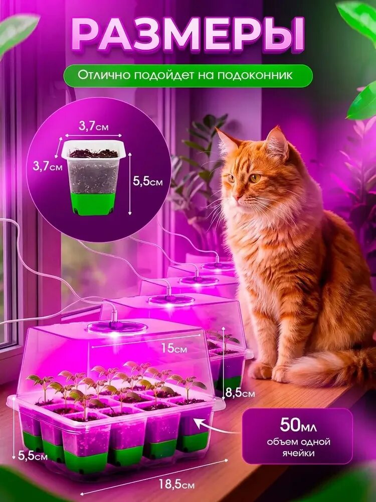 Кассета для рассады — фото 1