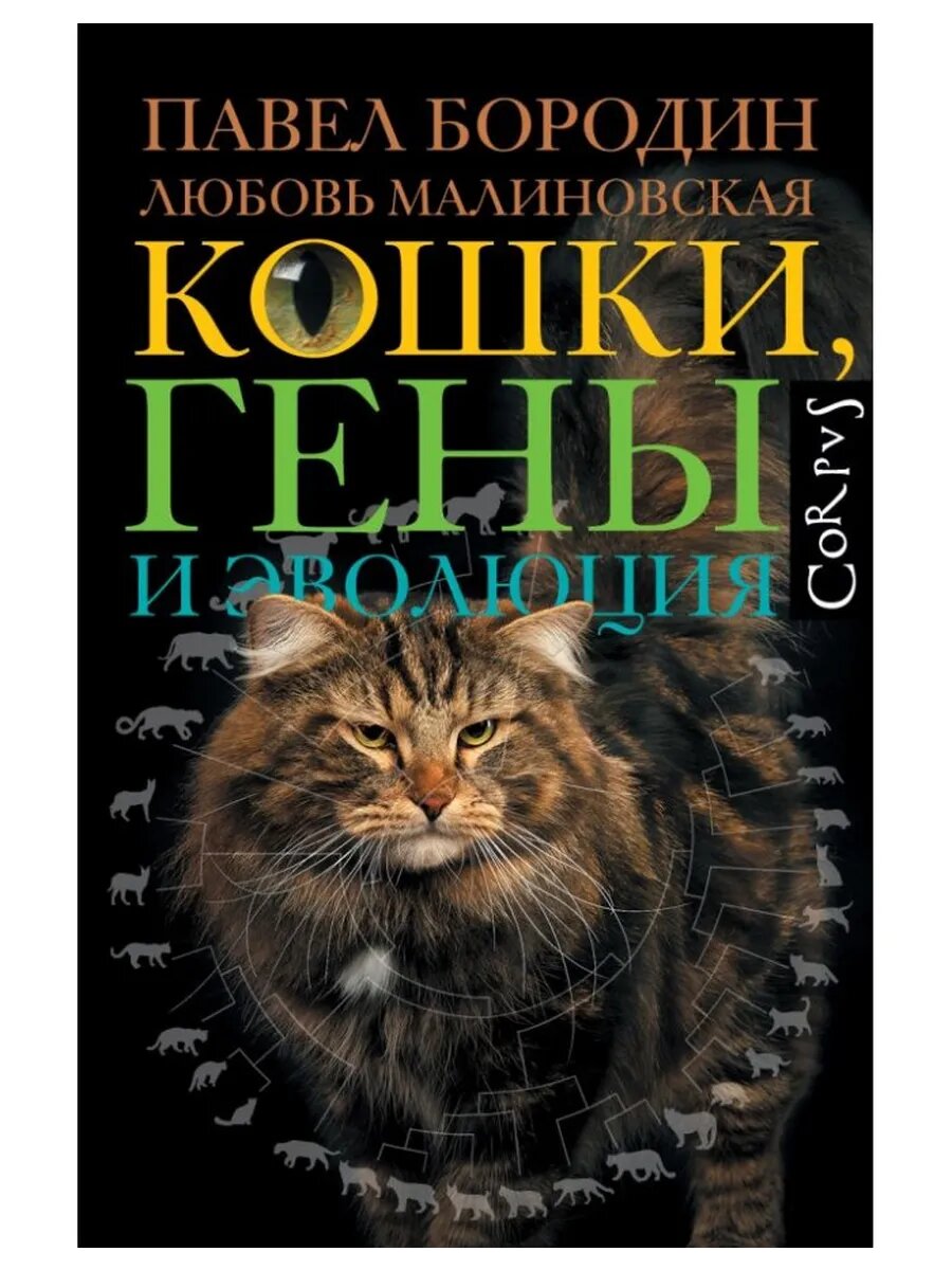 Кошки, гены и эволюция