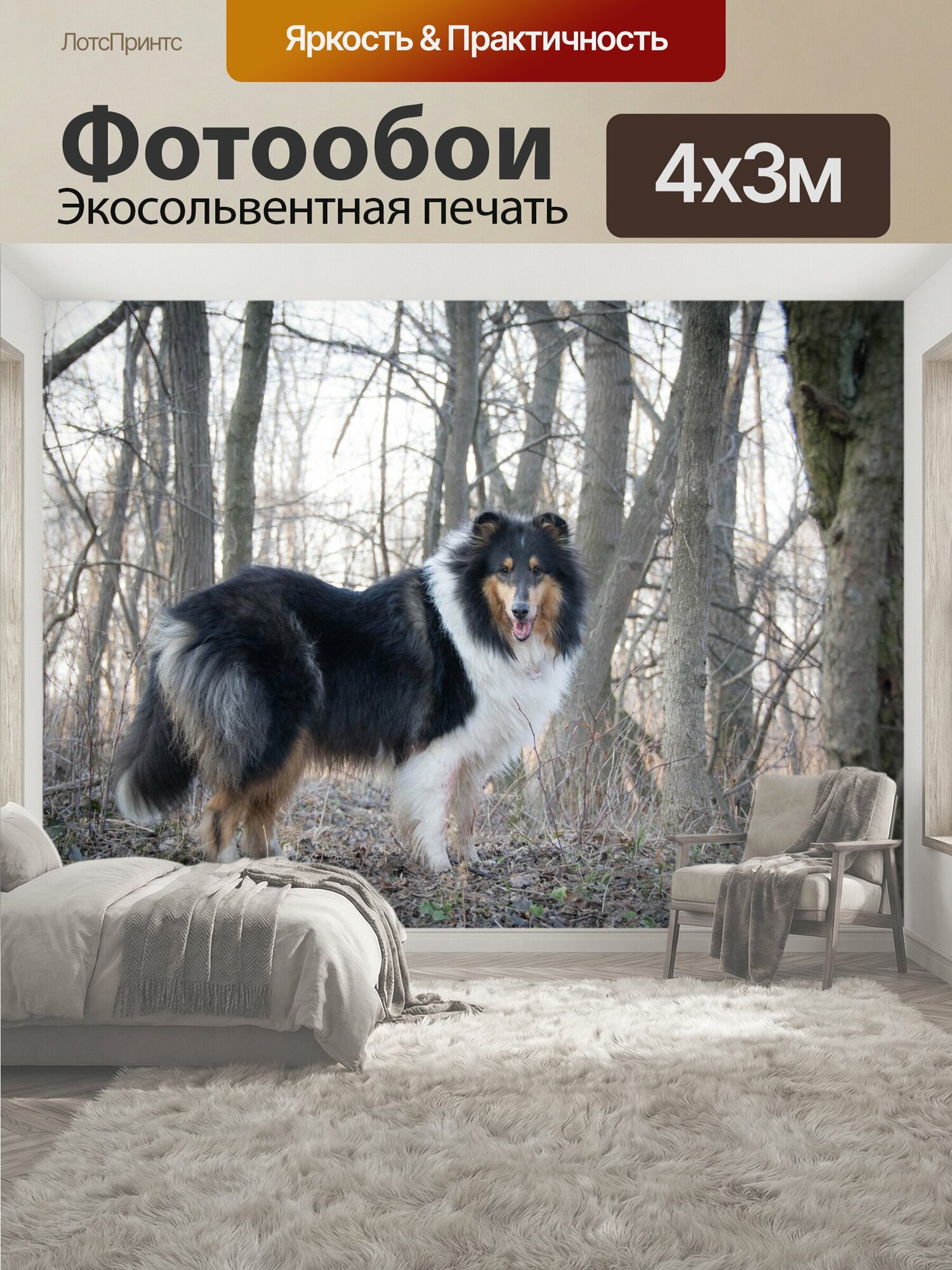 Фотообои "Собака, лес, колли" 400x300 см. экосольвентная печать