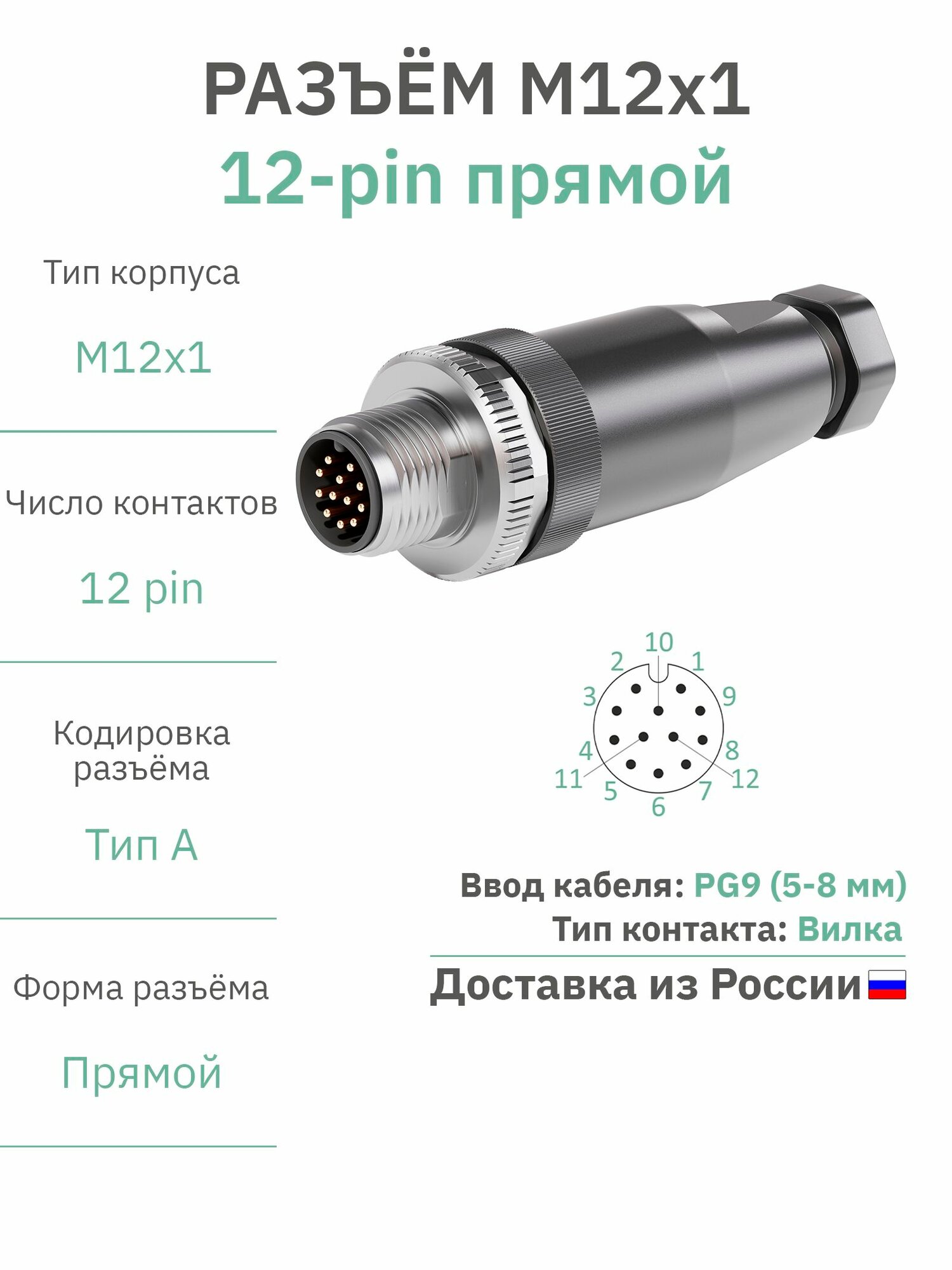 RAZM-M12-C12-PG9 разъём М12 12 pin прямой / вилка (папа) / PG9 (5-8 мм диаметр под кабель)