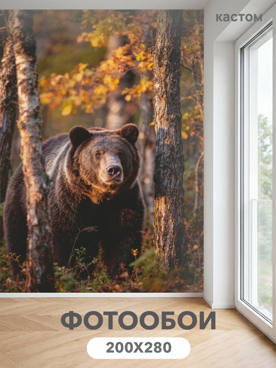 Фотообои на стену флизелиновые 3d Медведь 200х270 см