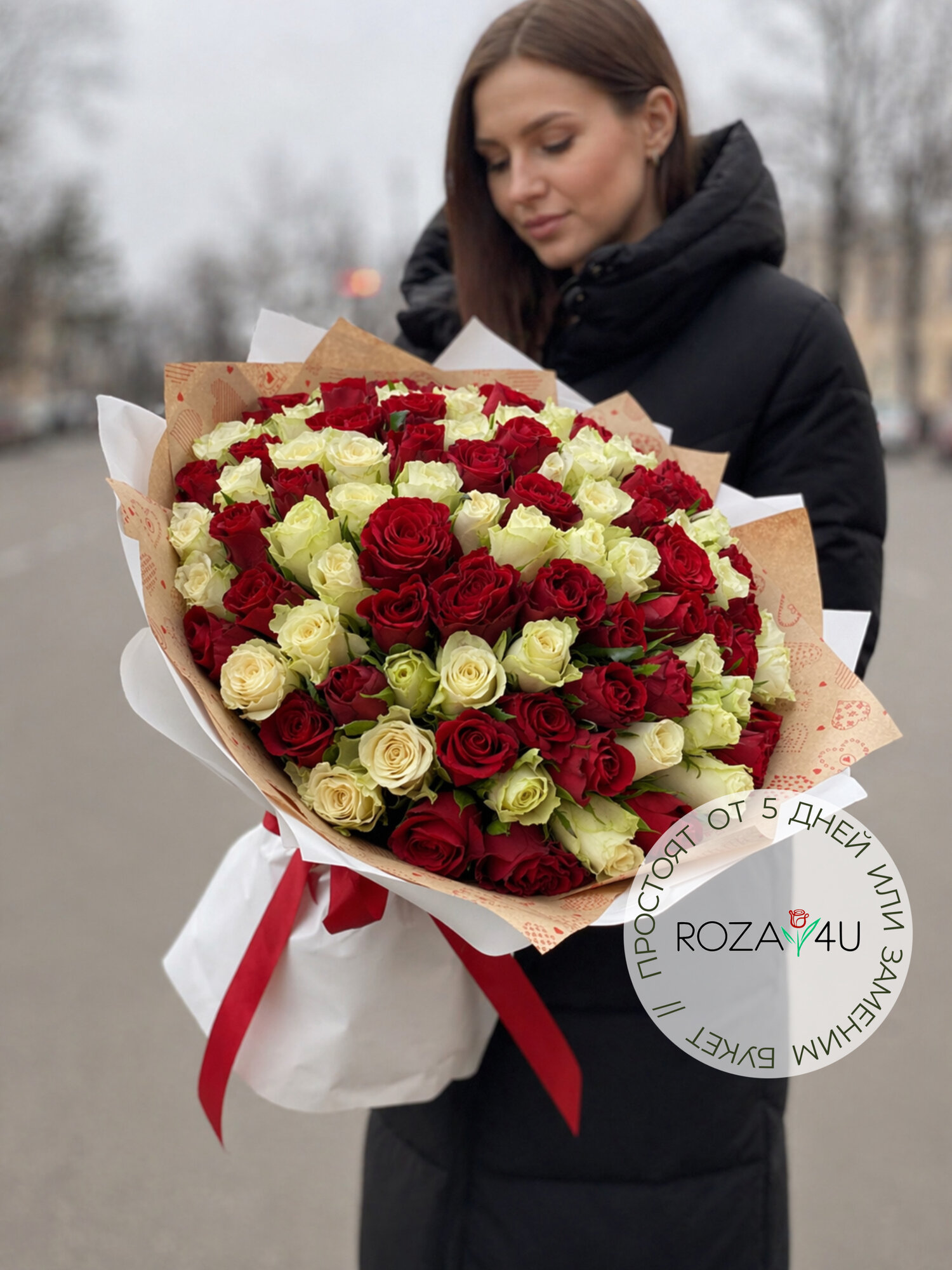 Букет цветов 101 красно-белая роза, высота 40 см, микс живых цветов от ROZA4U