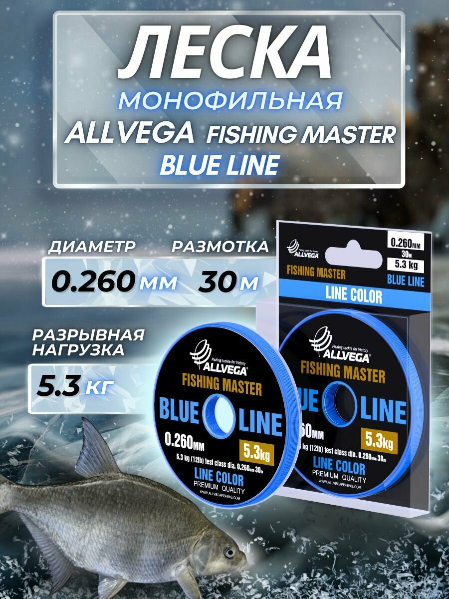 Леска для зимней рыбалки Fishing Master 0.26мм 30м 5.3кг голубая