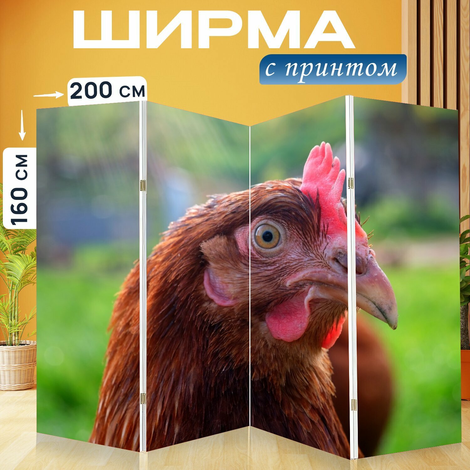 Ширма "Куриная голова, курица, домашнее животное" перегородка для зонирования комнаты с принтом 200x160 см. на холсте