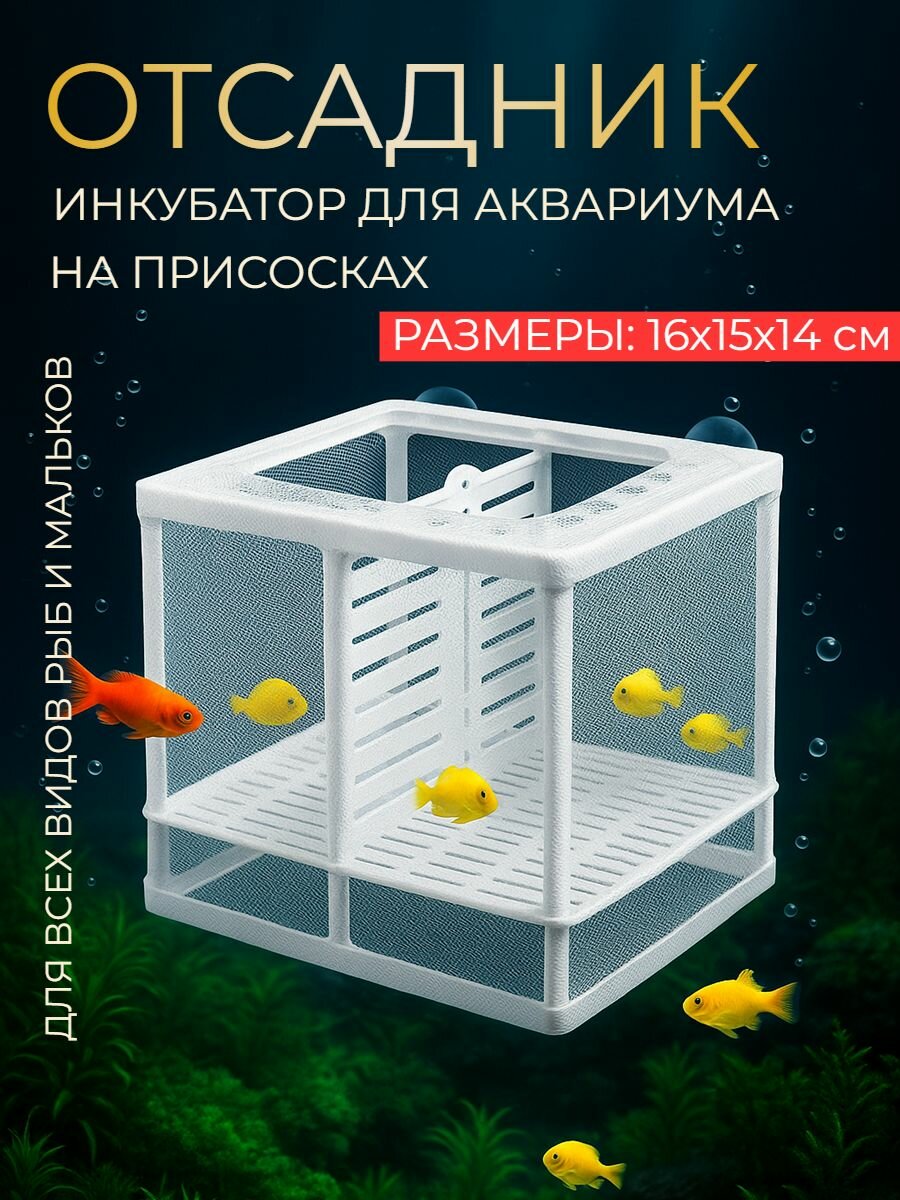 Отсадник с сеткой для аквариума для рыб инкубатор для мальков 16х15х14 см с перегородкой