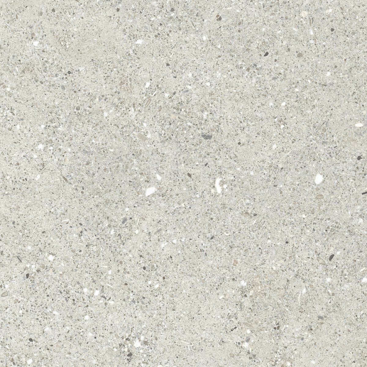 Керамогранит Laparet Granito Гранито Гриджио 59,5х59,5 см матовый серый CR6060G0461R
