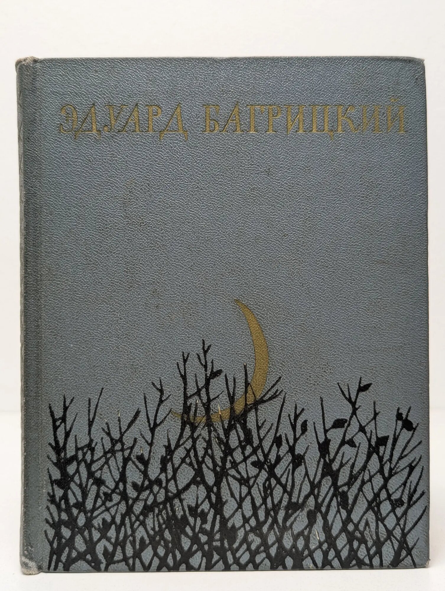 Эдуард Багрицкий. Стихи и поэмы Багрицкий Эдуард Георгиевич 1956