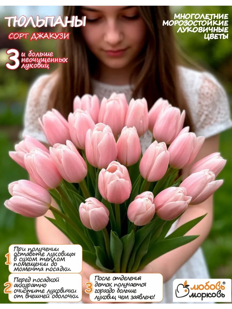 Тюльпан "Джакуззи", растение многолетнее, розовый, 3 луковицы