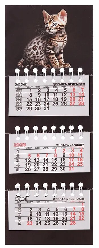Календарь квартальный 2026г 82*230 "Котенок на черном" на магните